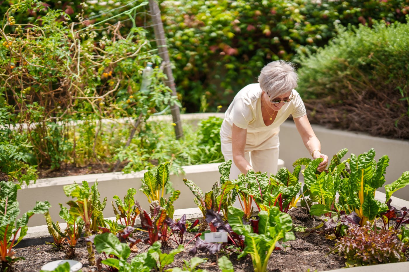 Community Life At Cardinal Freeman | NSW | Levande