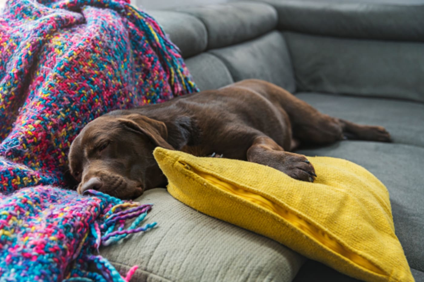 Levande living | Levande