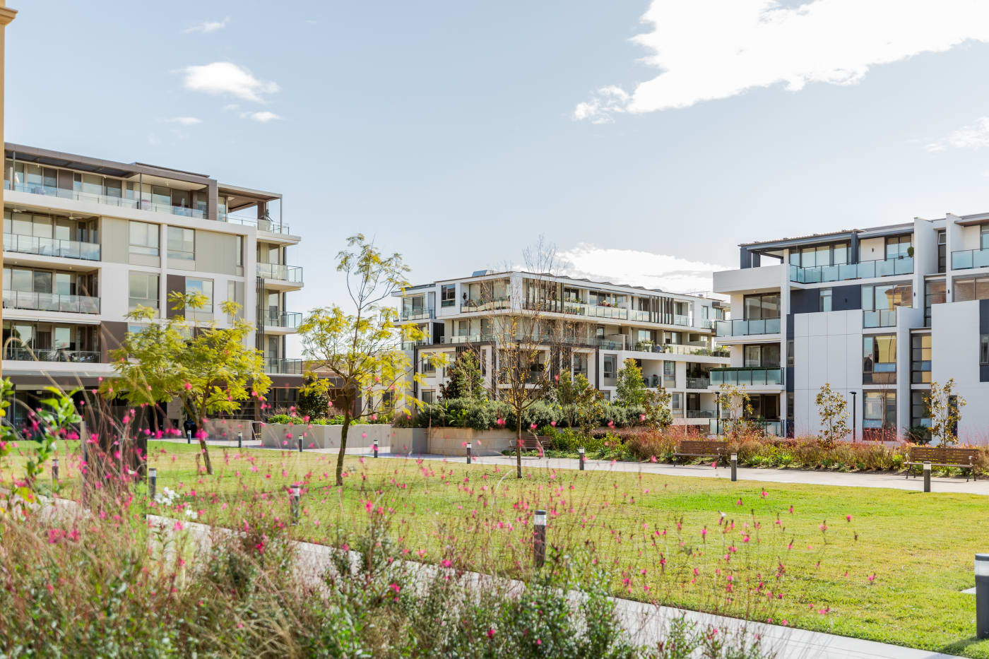 Welcome To Cardinal Freeman | NSW | Levande