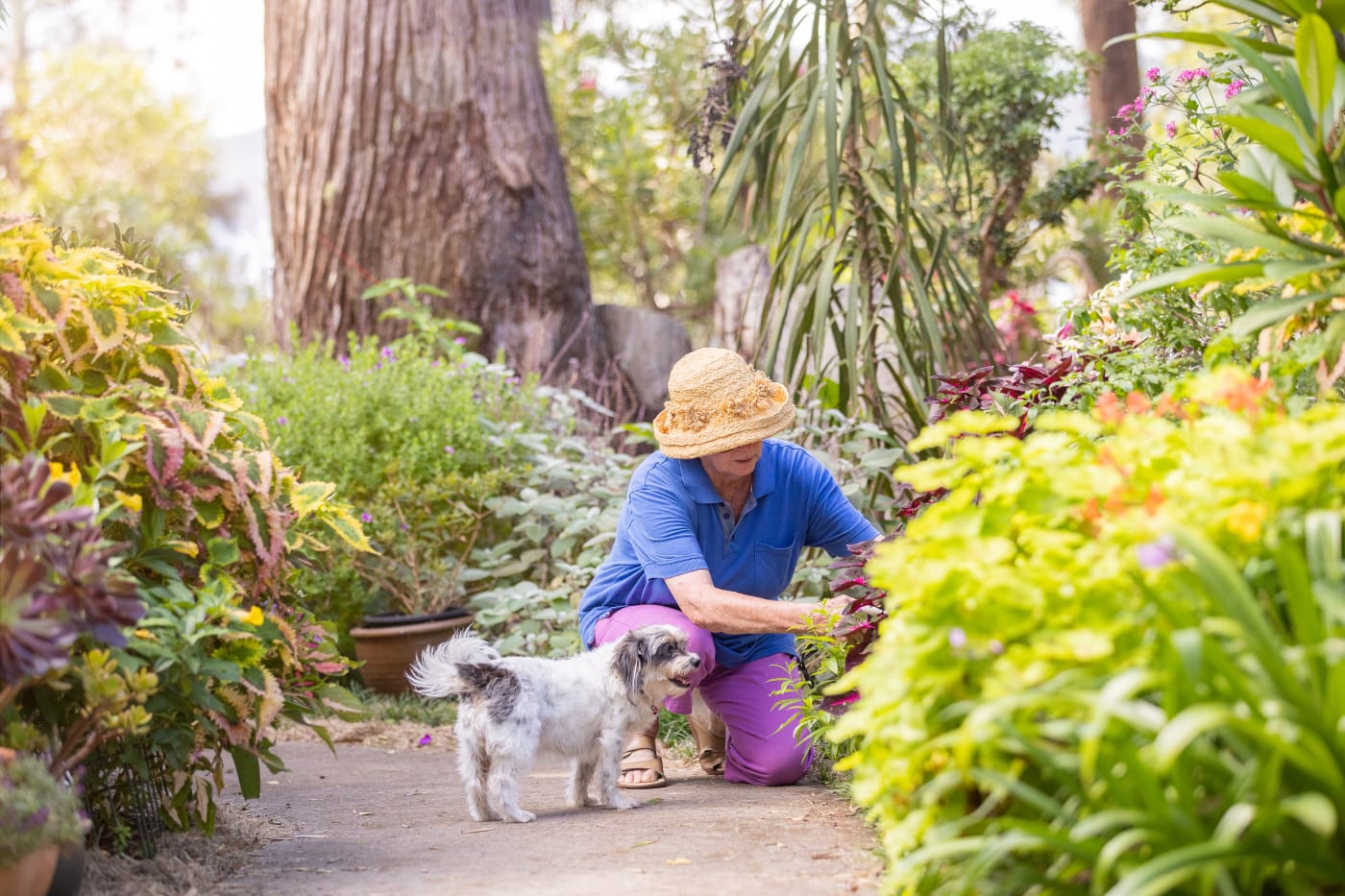Life at Queens Lake | Queens Lake | Levande