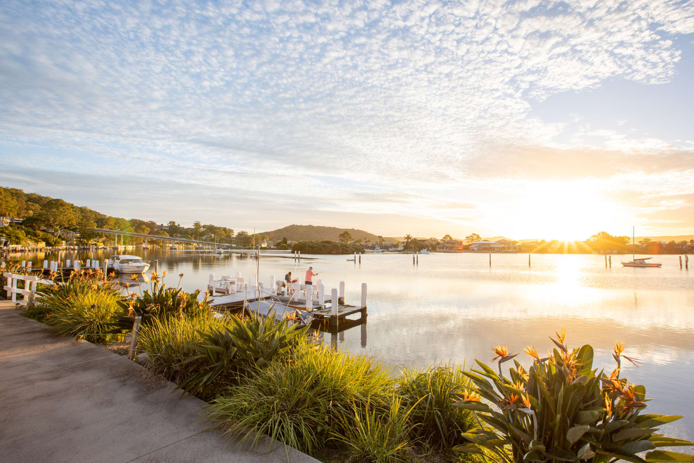 The Cove at Daleys Point | Levande