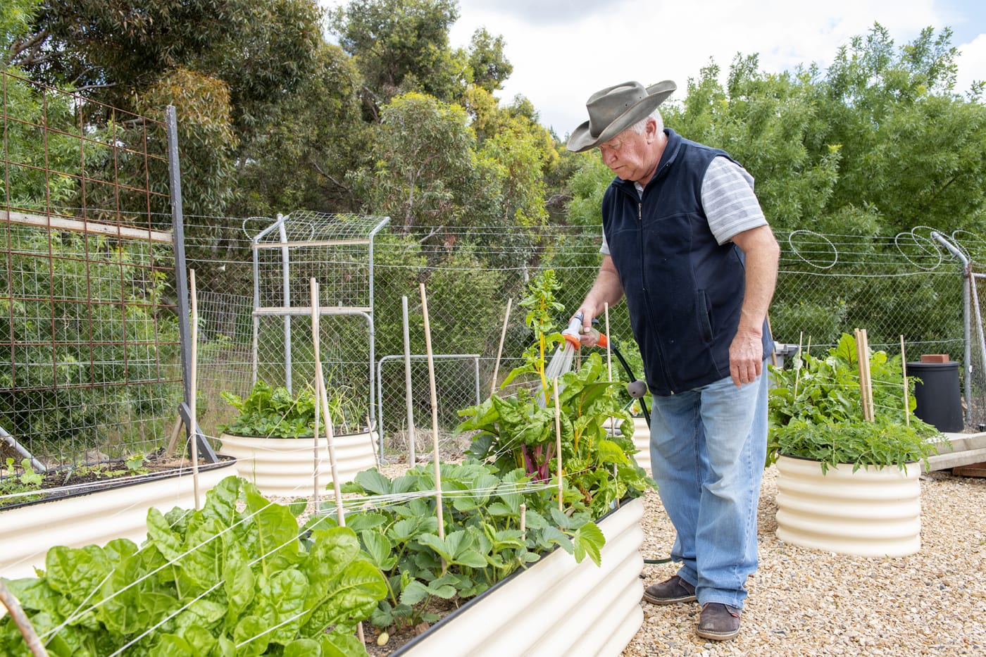 Life at Walnut Grove Estate | Walnut Grove Estate | Levande