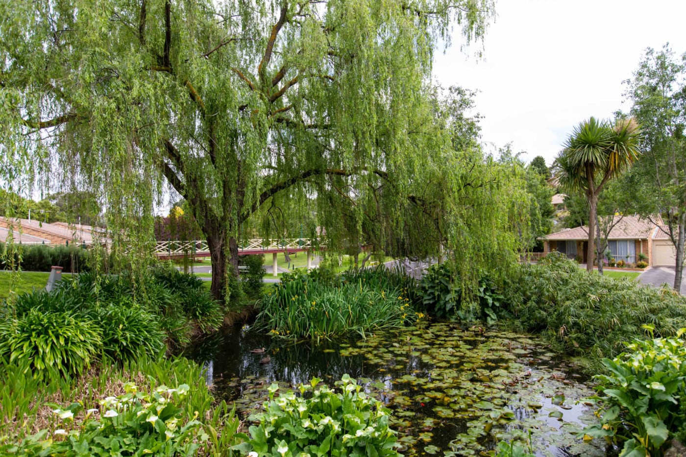 Life at Donvale | Donvale | Levande