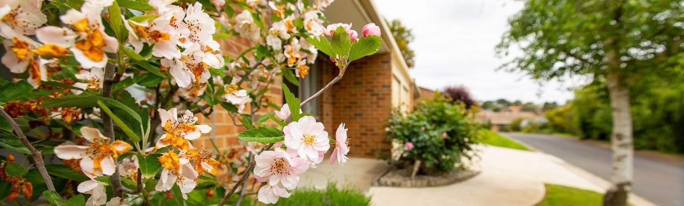 Location | Donvale | Levande