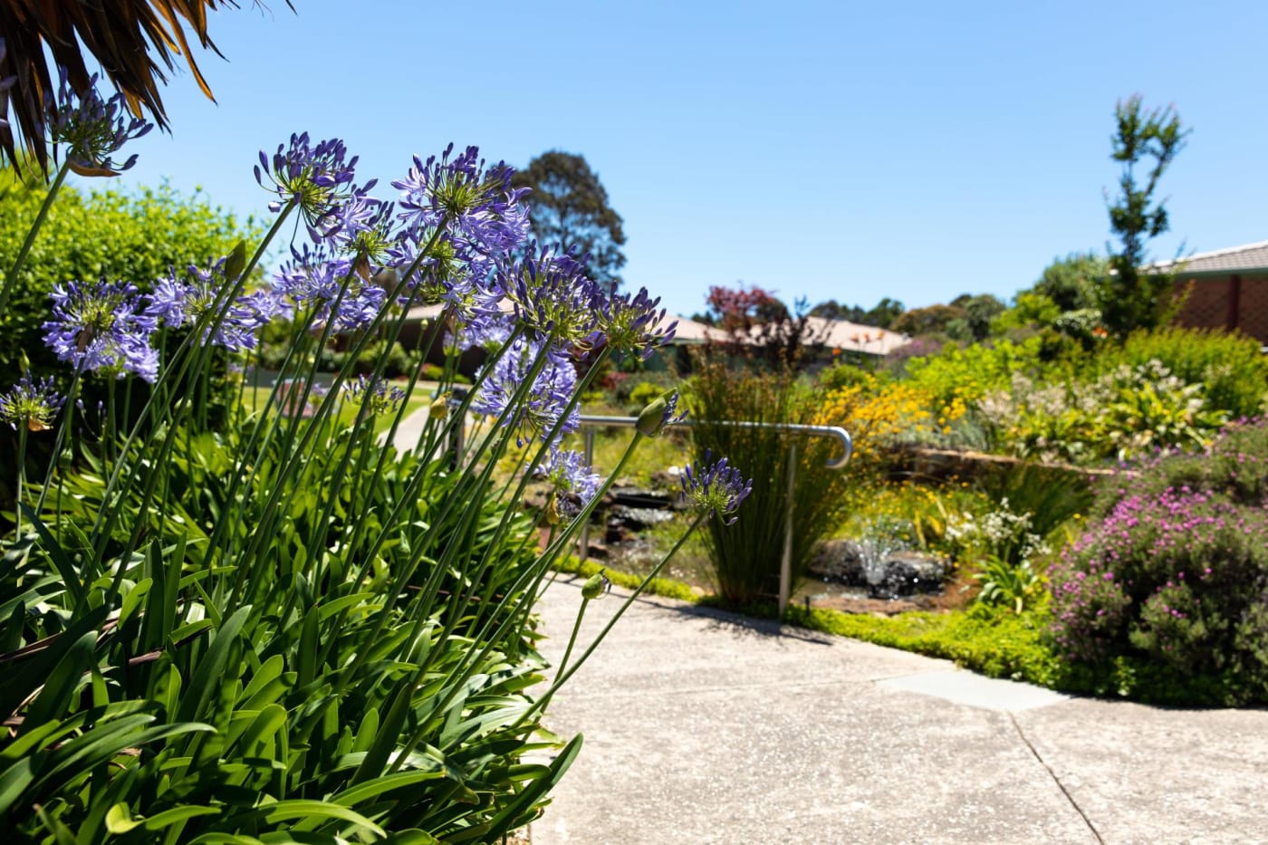 Salford Park | Levande