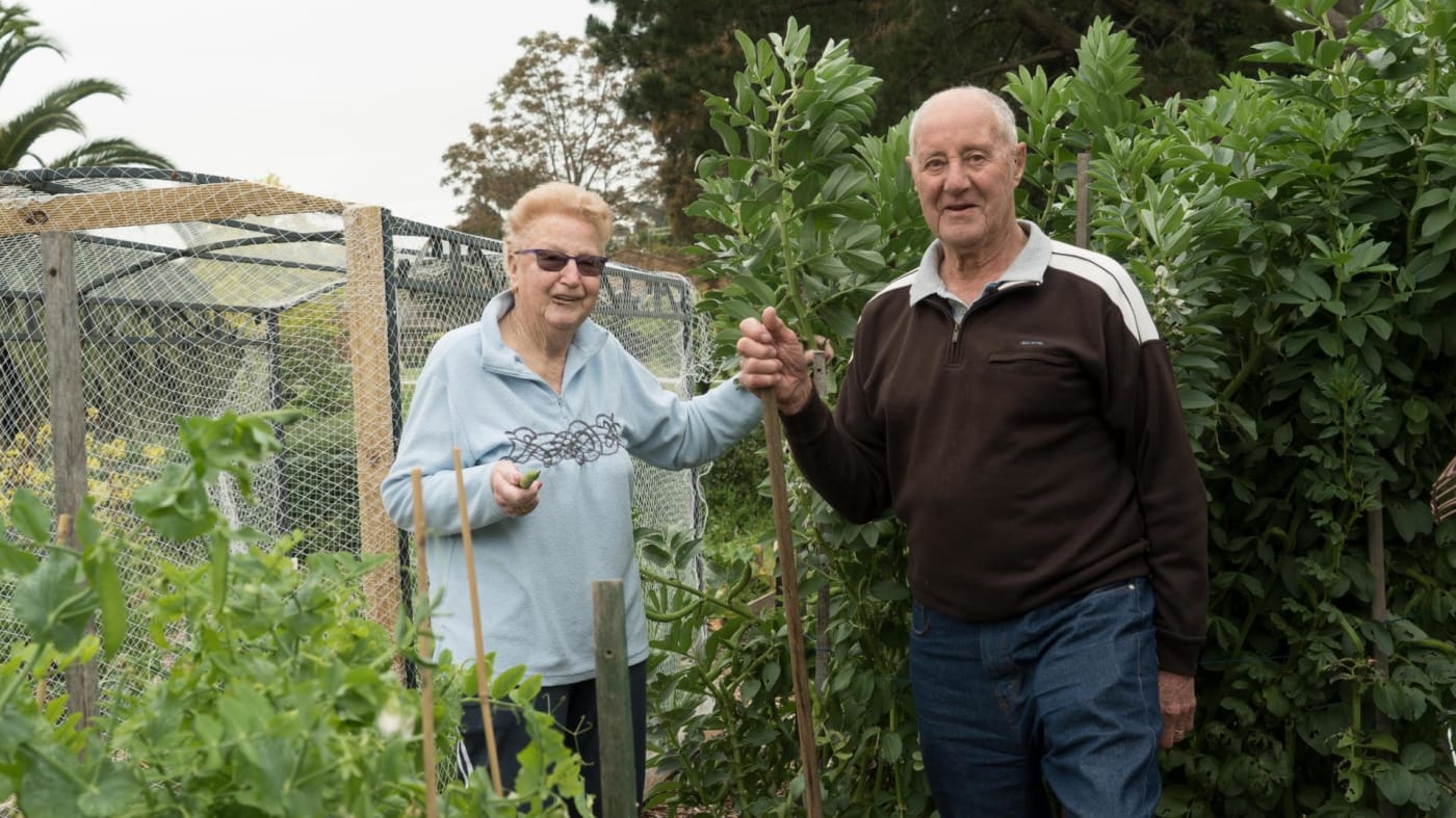 Templestowe | Levande