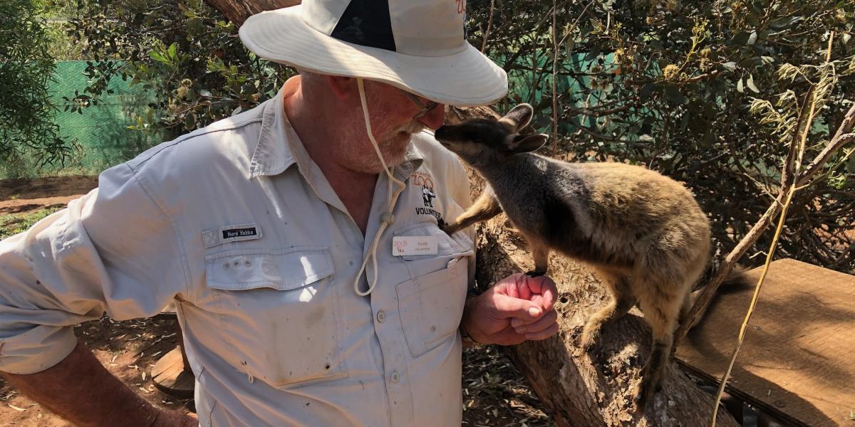 Bay Village’s Wildlife Warrior