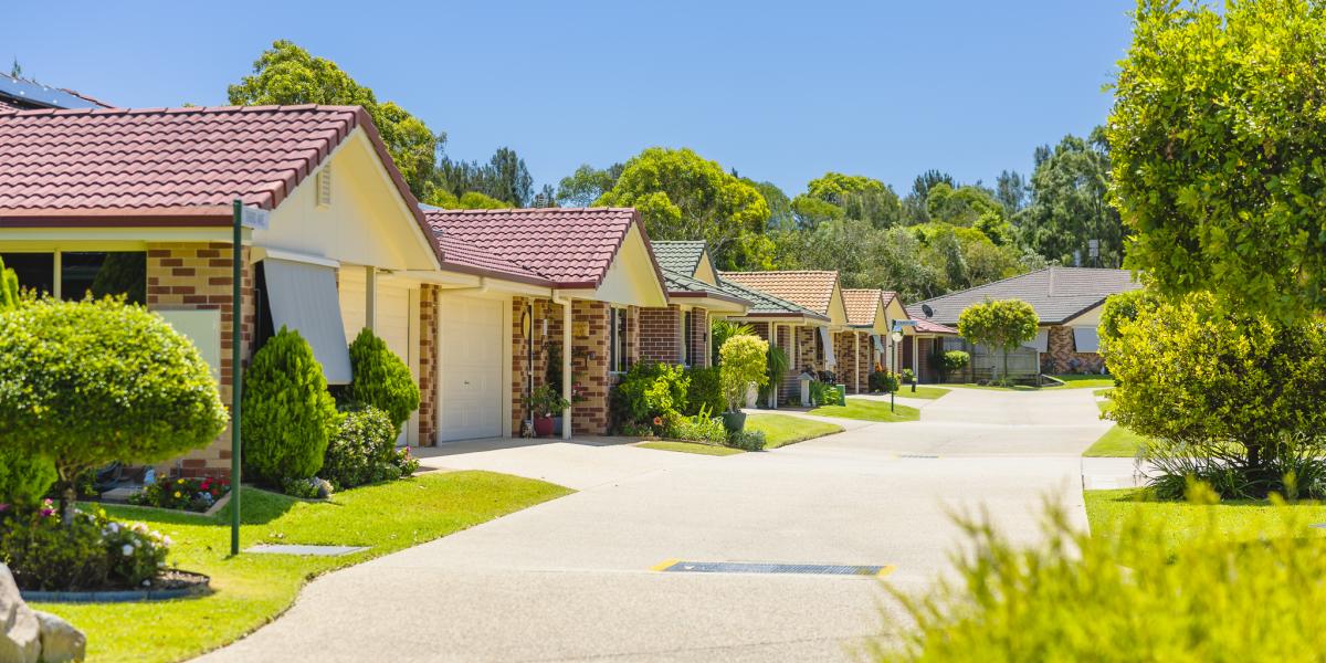 News & Events | Bellcarra | Levande