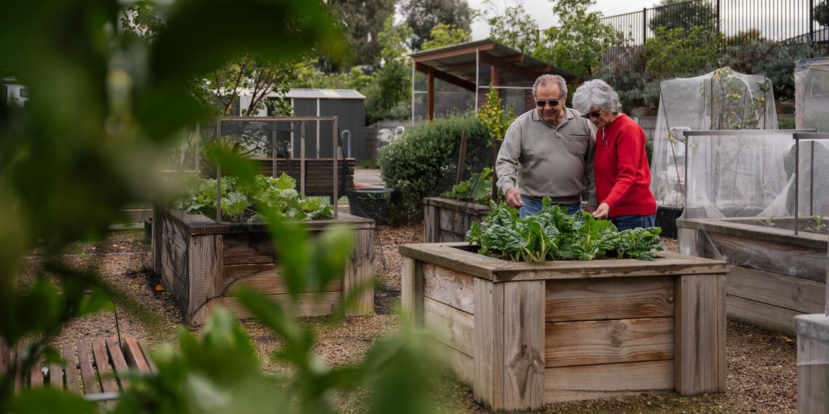 Mernda’s Green Transformation | Mernda | Levande