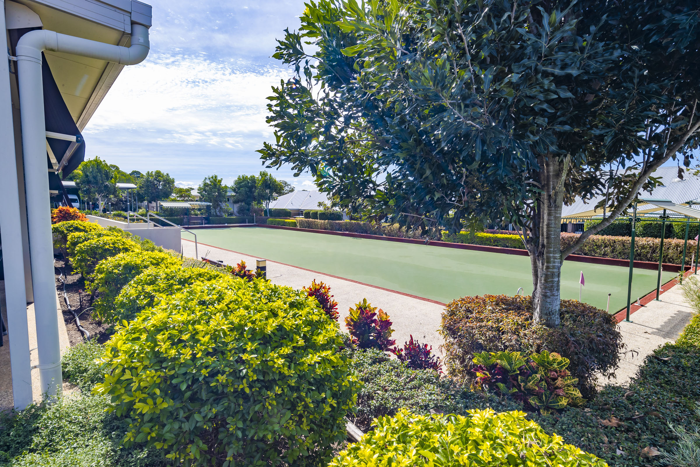 Life & wellbeing | Fig Tree | Levande